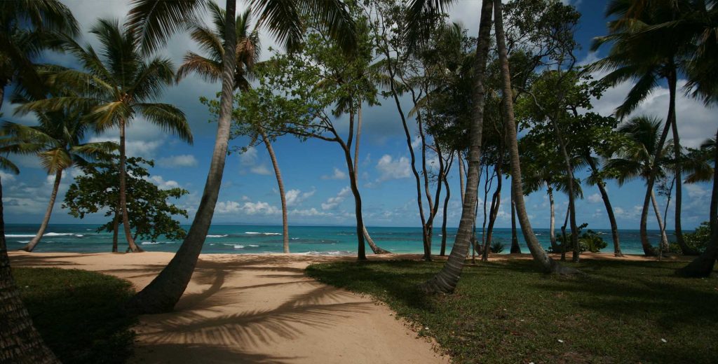 Tropicalia – Sustainability Report